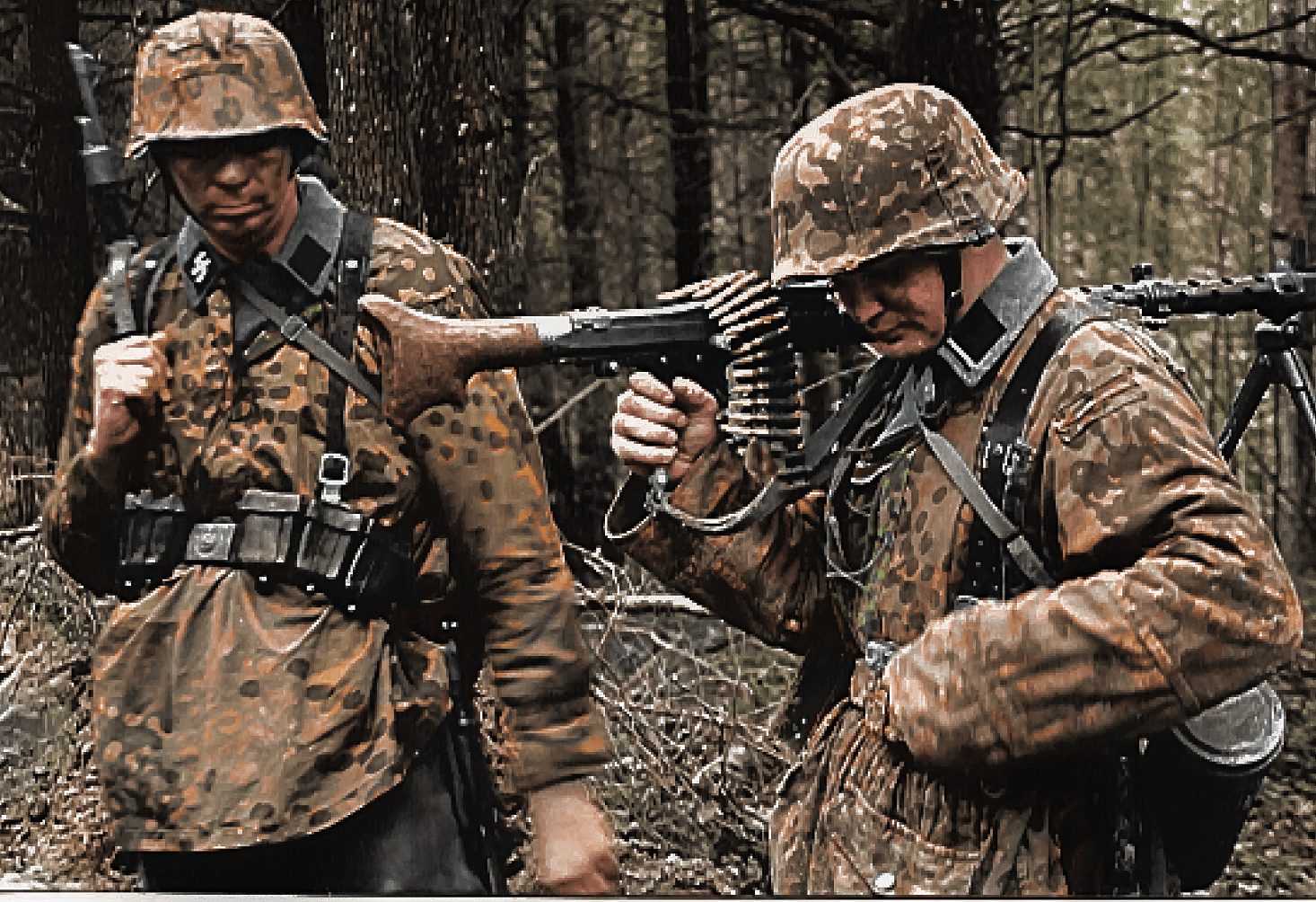 Organización y Estructura de las Waffen SS: Un Análisis Histórico ...